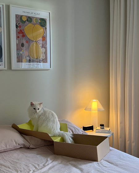 Loftie Lamp | Loftie